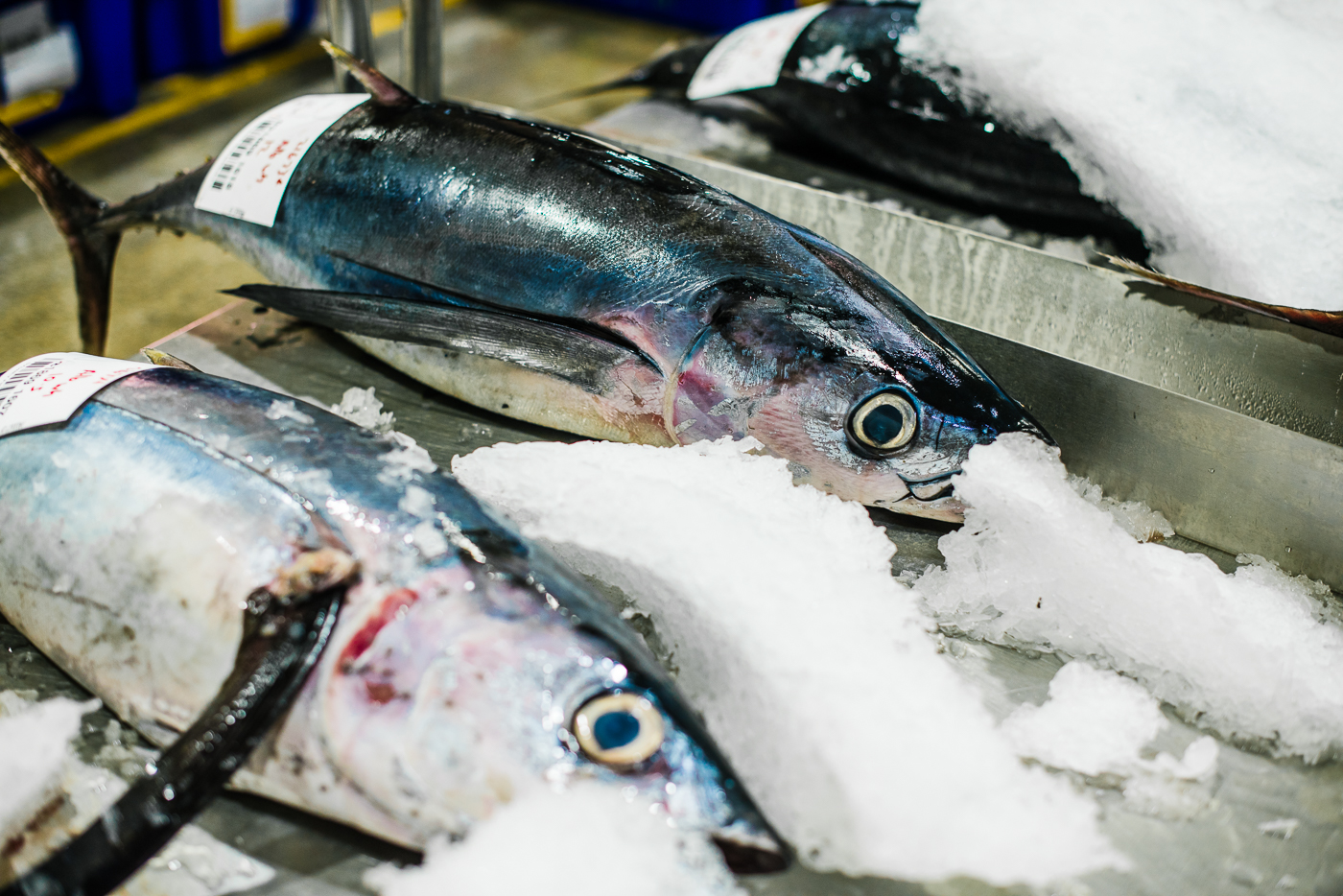 Best Online Seafood Shop Australia | Manettas Seafood Market